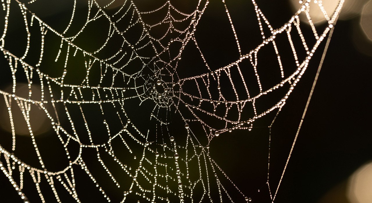 Remove the Root Cause of Fear - Heartfulness English