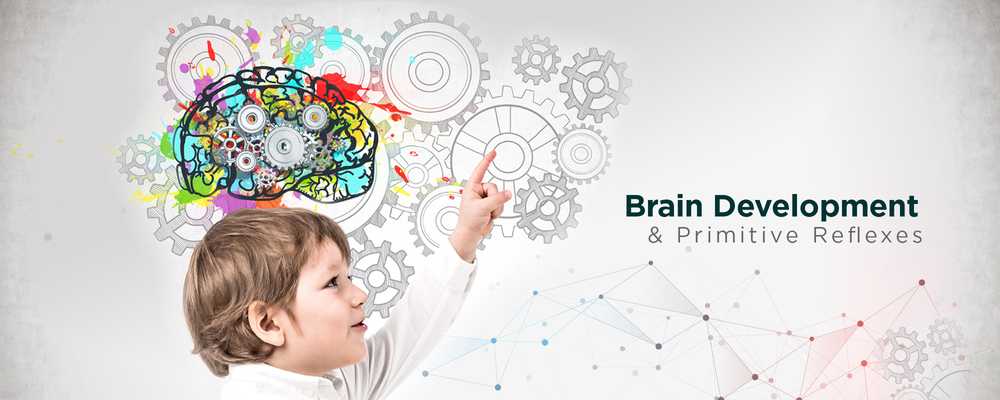 Brain Development - Workshop Registration